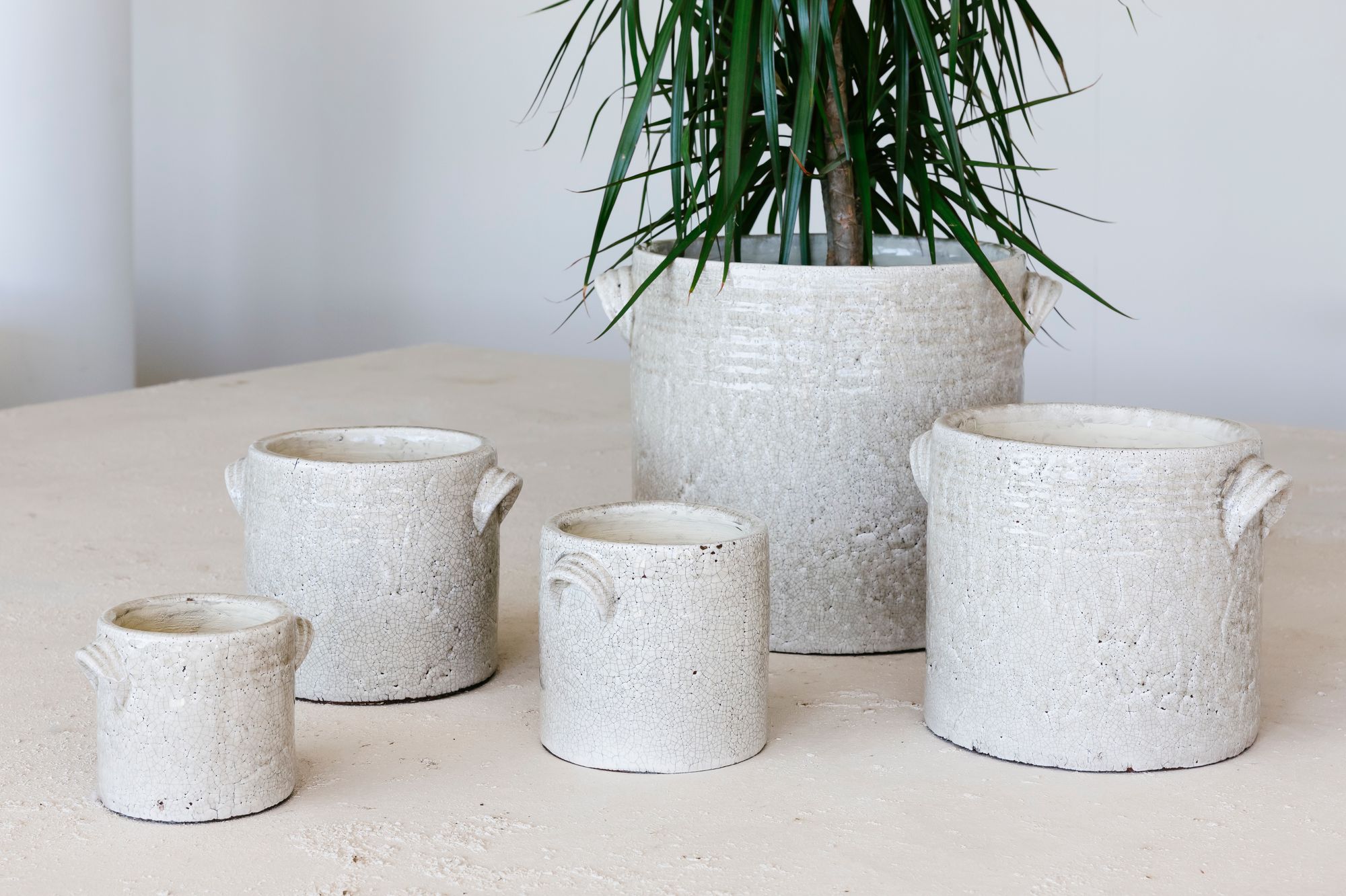 Grote orchidee pot dune | 1225153