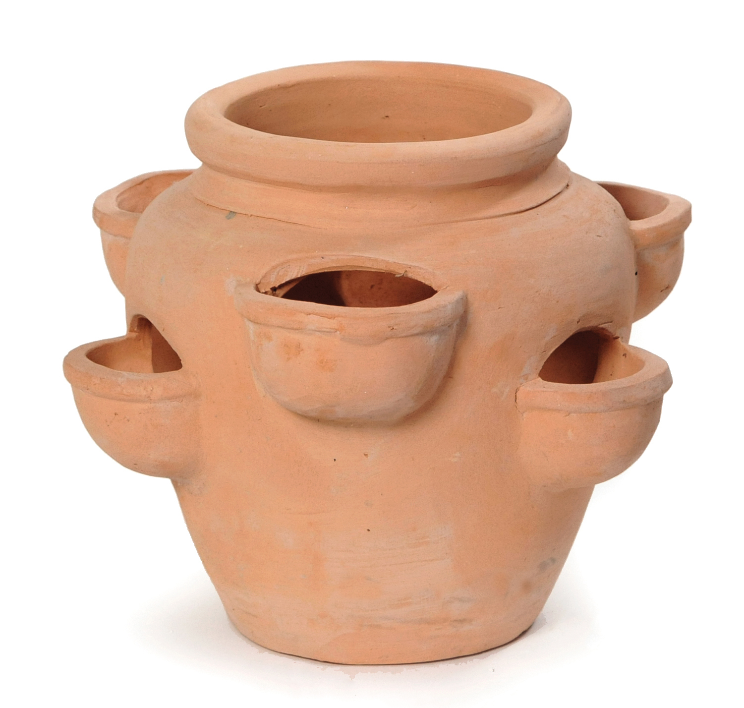 Aardbeienpot | 923249