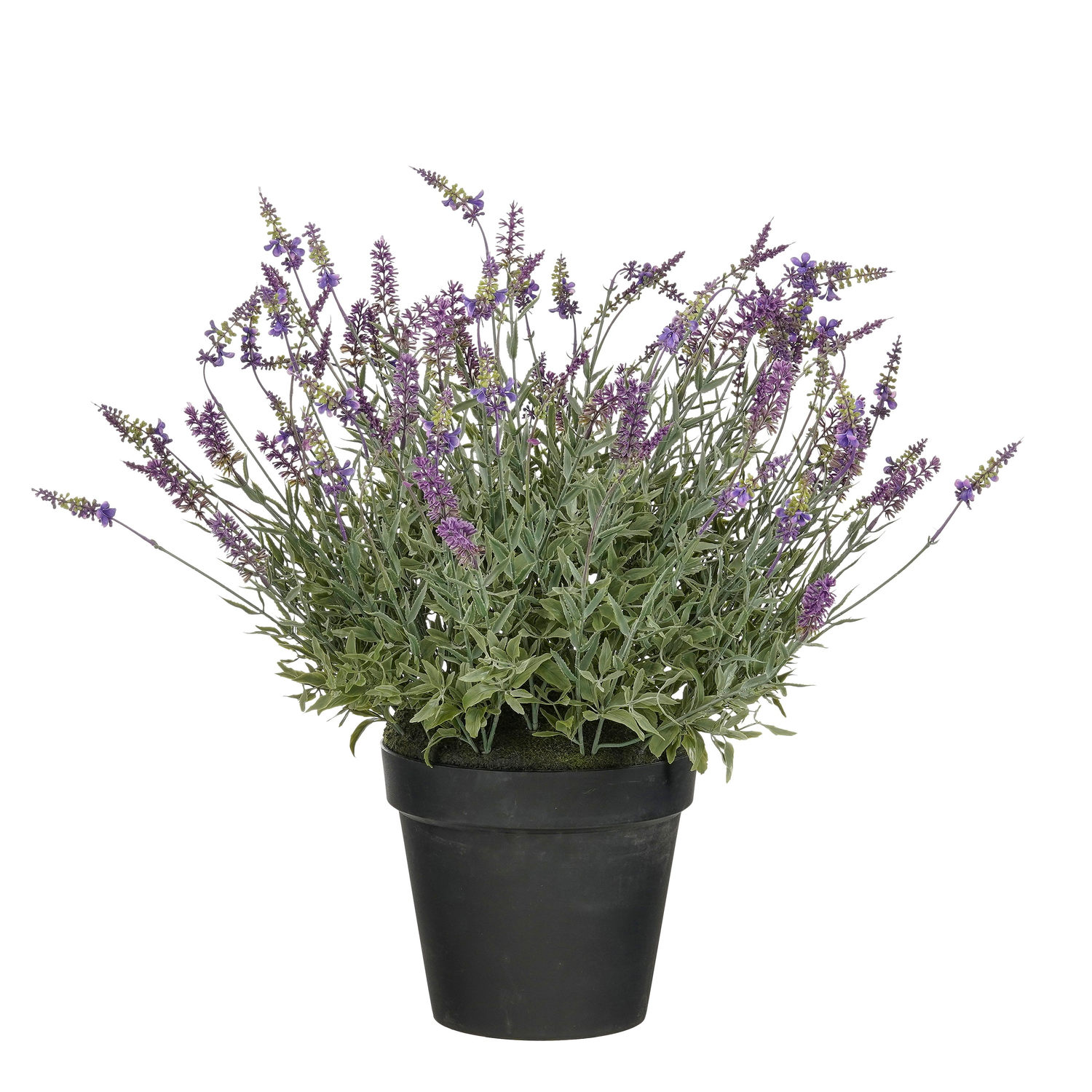 Lavende en pot violet - h66xd65cm | 1247106